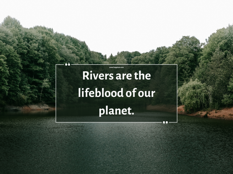 101+ Inspirational Quotes for International Day of Action for Rivers