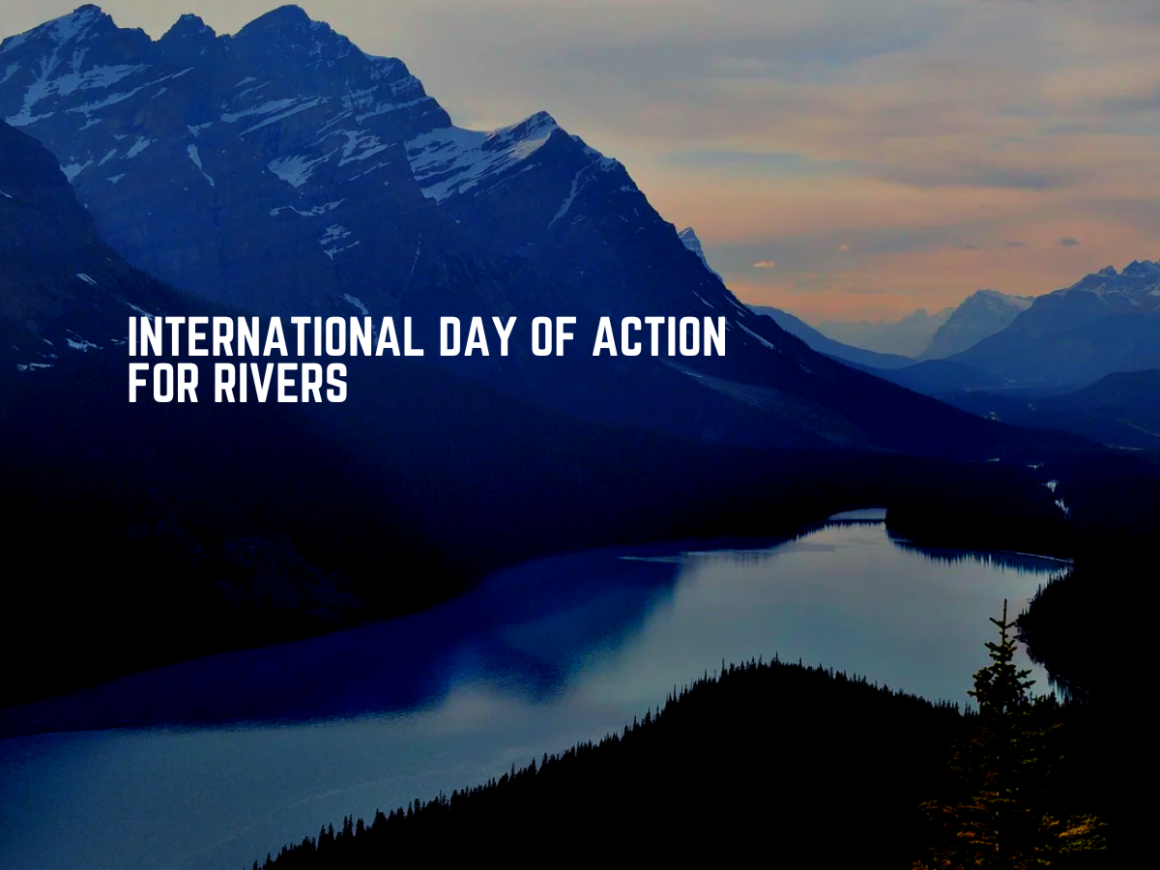 Pi Day 2025: 88 Quotes to Celebrate Pi Day